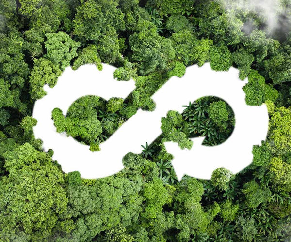 The Circular Economy: A New Era for Packaging - TPC